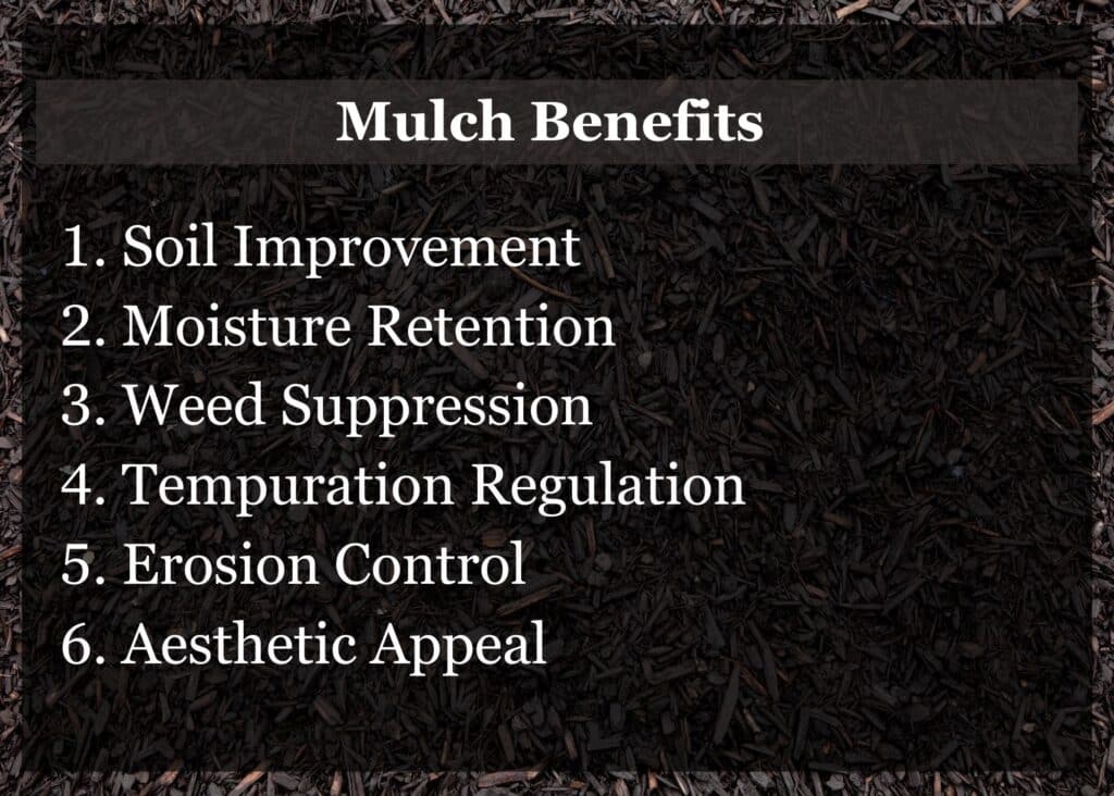 A Simple Guide to Mulch: Plus Our Top Seven Mulching Tips!
